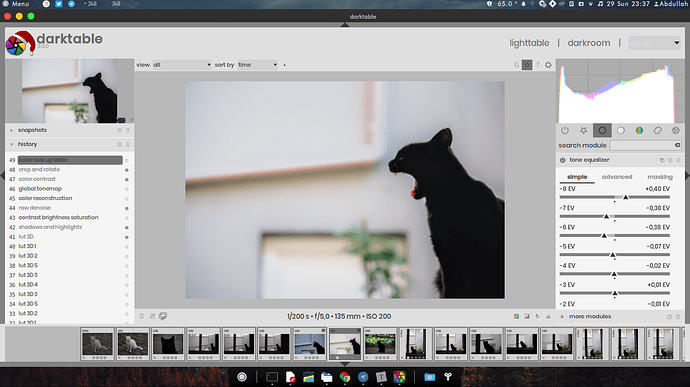 Light and Light Blue theme for Darktable - darktable - discuss.pixls.us