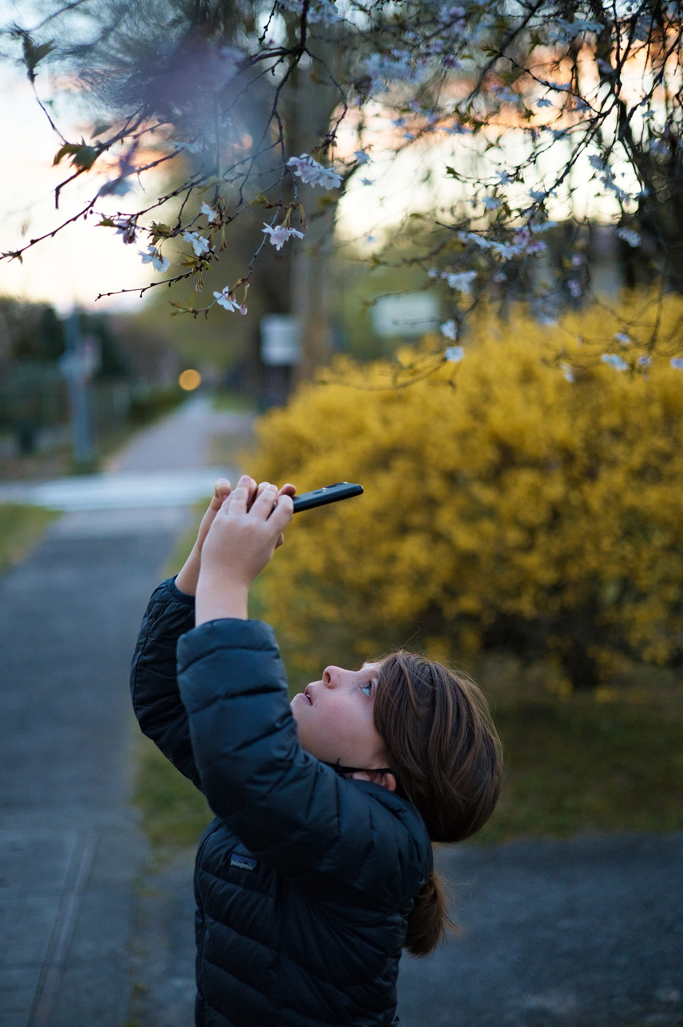 Canon EOS RP sample raws - Play Raw - discuss.pixls.us