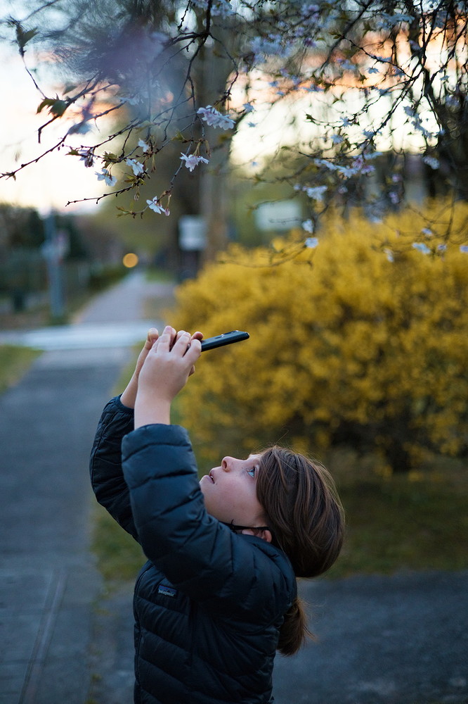 Canon EOS RP sample raws - Play Raw - discuss.pixls.us