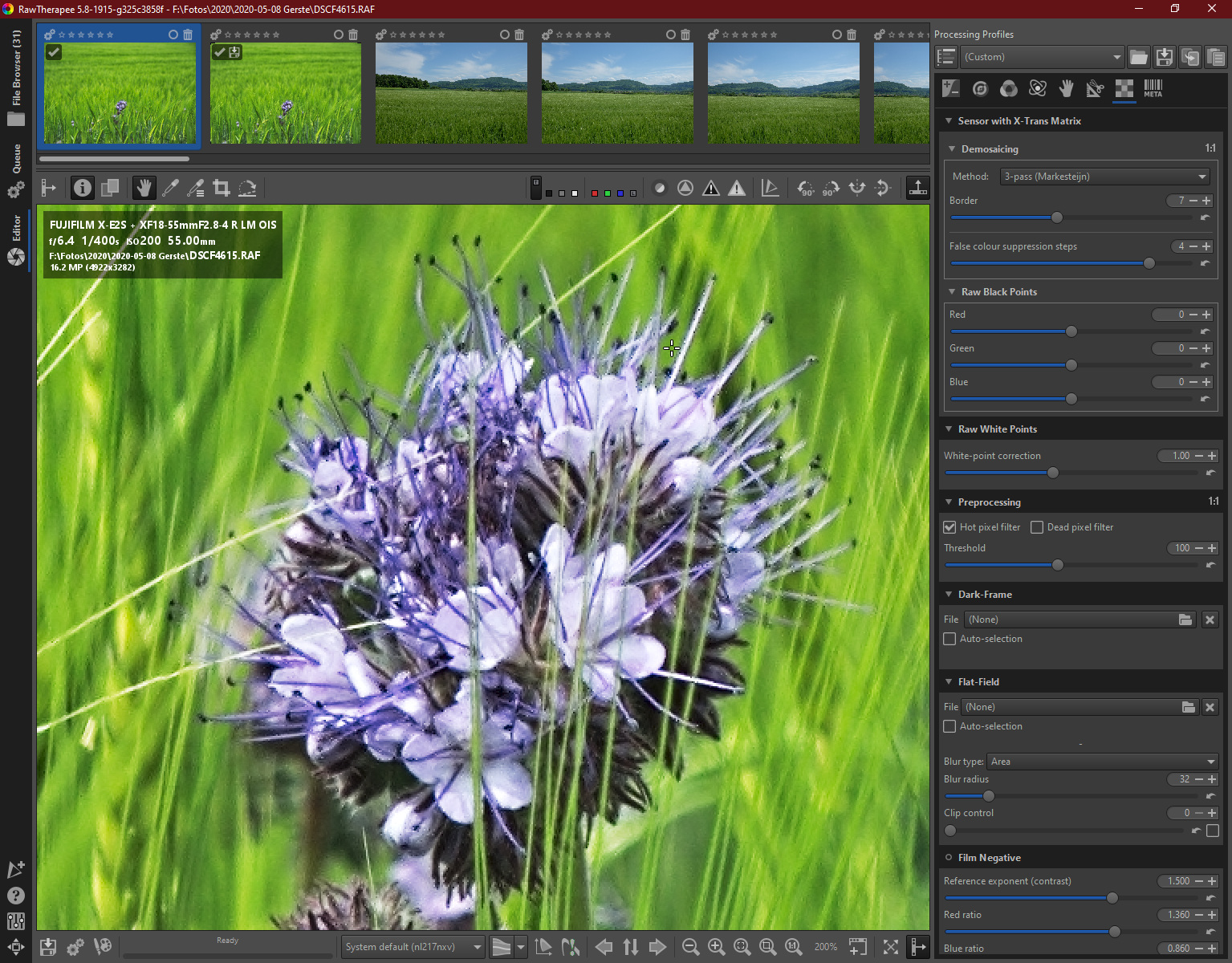 Sometimes 1-Pixel-Artifacts from X-Trans Demosaicing - RawTherapee ...